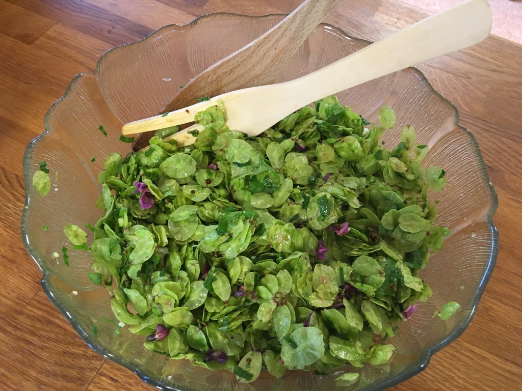 Recept sallader – ODLINGSAKADEMIEN